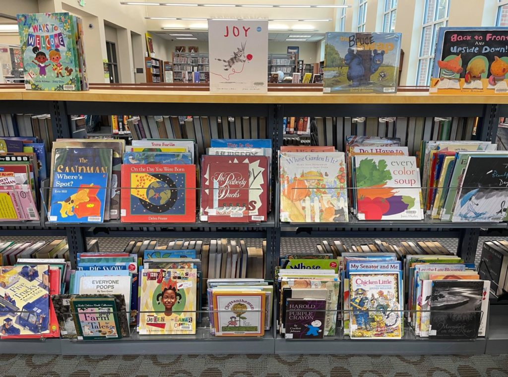 QUICKSHIP ITEM! Magbrowz™ Large Picture Book Bin (2-Pack) - Library ...